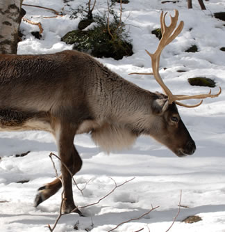 Biología y Geología en el IES Valle de Leiva: ECOSISTEMAS TERRESTRES ...