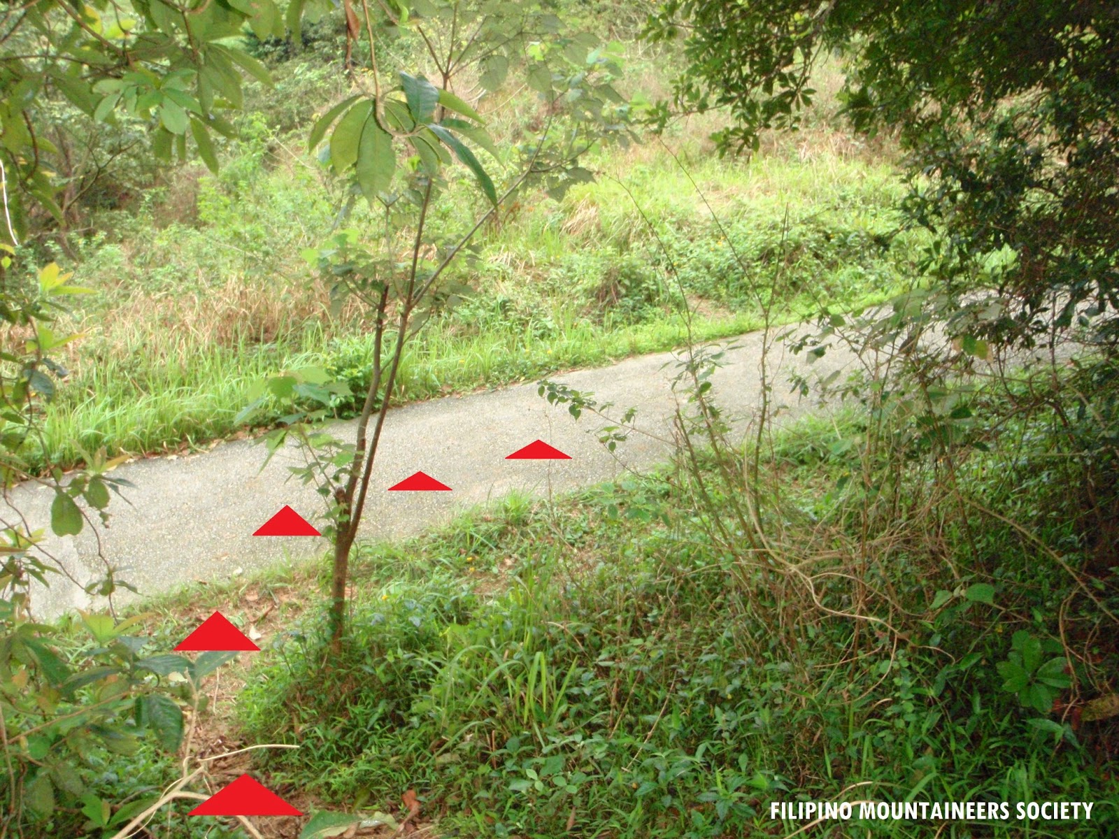 GREAT OUTDOORS ADVENTURE: TAI SHUI HANG TRAIL (Discovery Bay - Mui Wo ...