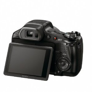 Sony Cyber-shot DSC-HX100 Digital Camera Review : DiGiView | Digital ...