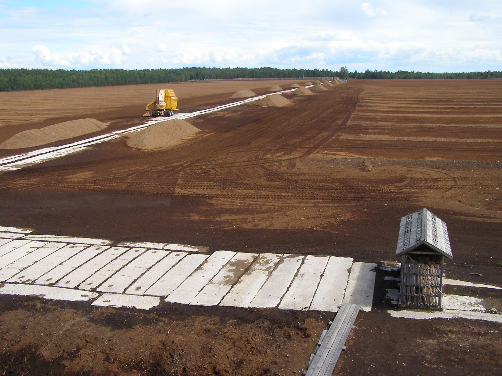 Uz Cenas tīreļa purva takas