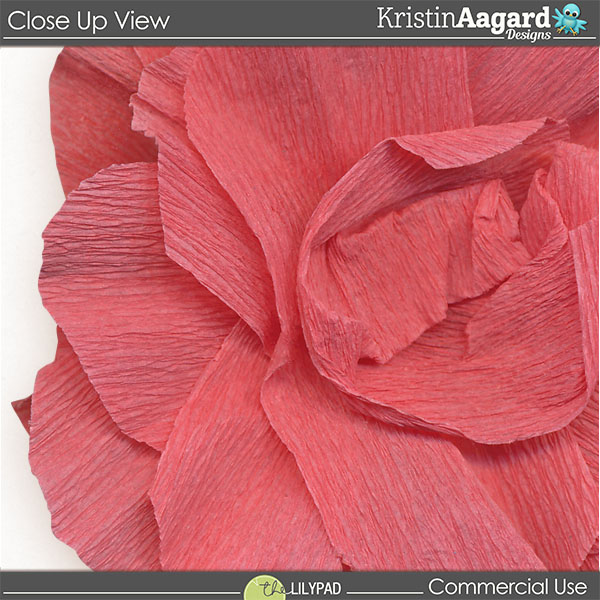 Digi Delights: Crepe Flowers & a Freebie