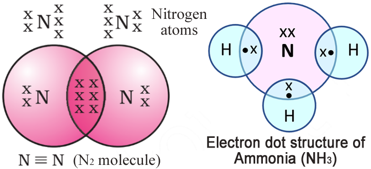 Chapter 4: Carbon and its Compounds | CBSE Class 10 | NCERT Notes ...