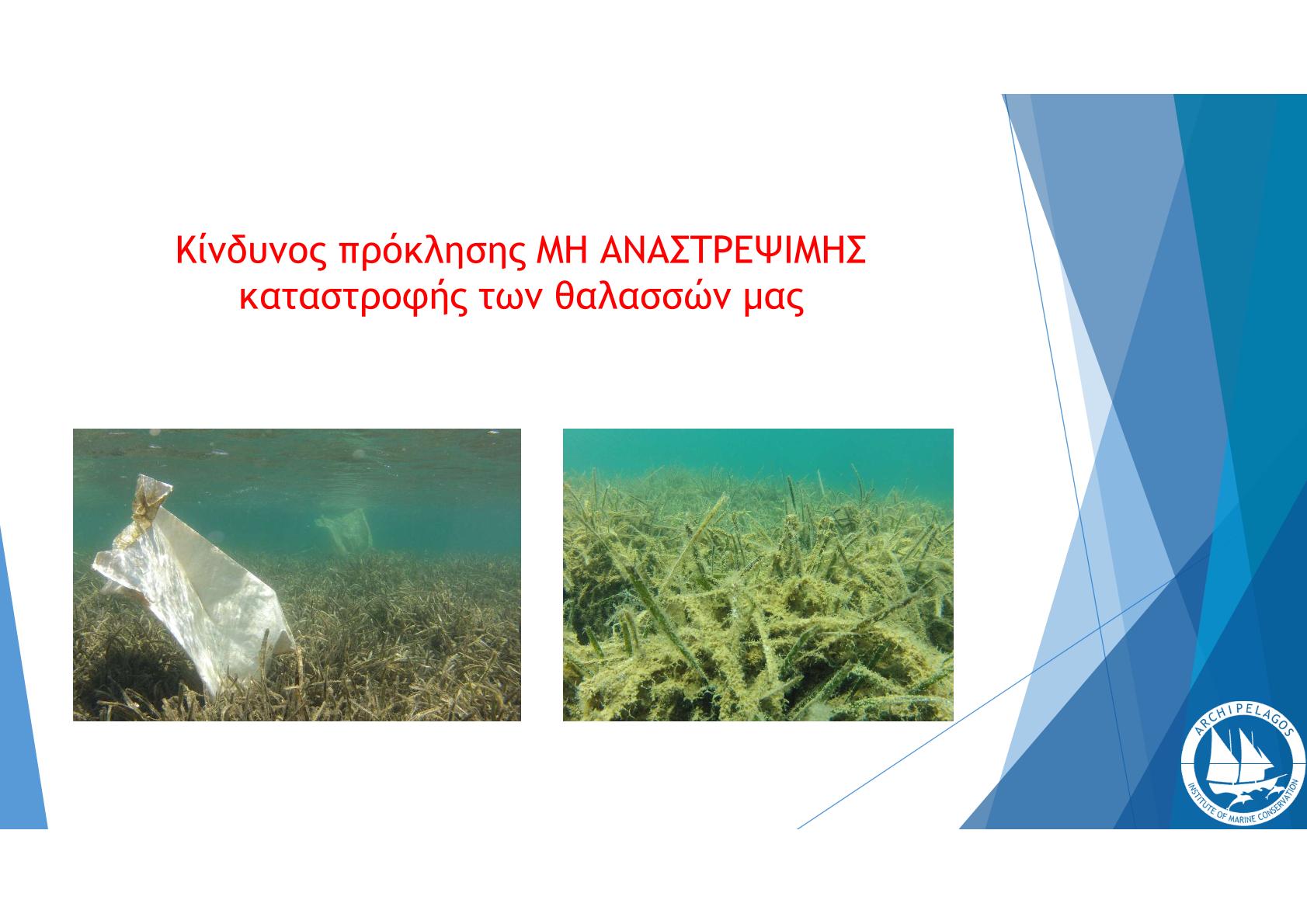 Ινστιτούτο Θαλάσσιας Προστασίας ''Αρχιπέλαγος'', επιστημονικός ...