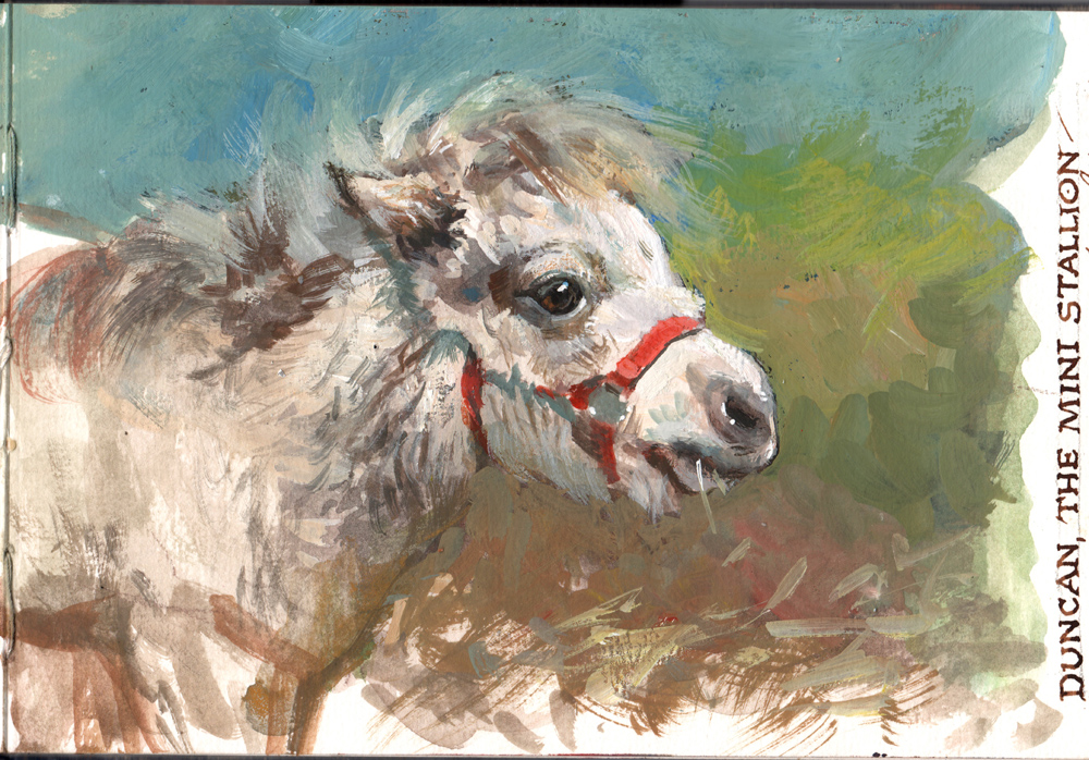 Gurney Journey: Meet Duncan, the Mini Stallion