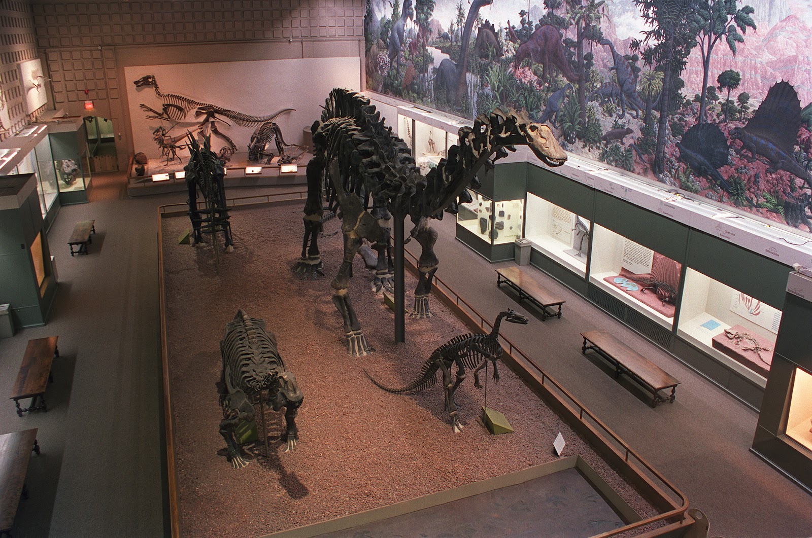 Tour America's History: Yale Peabody Museum of Natural History