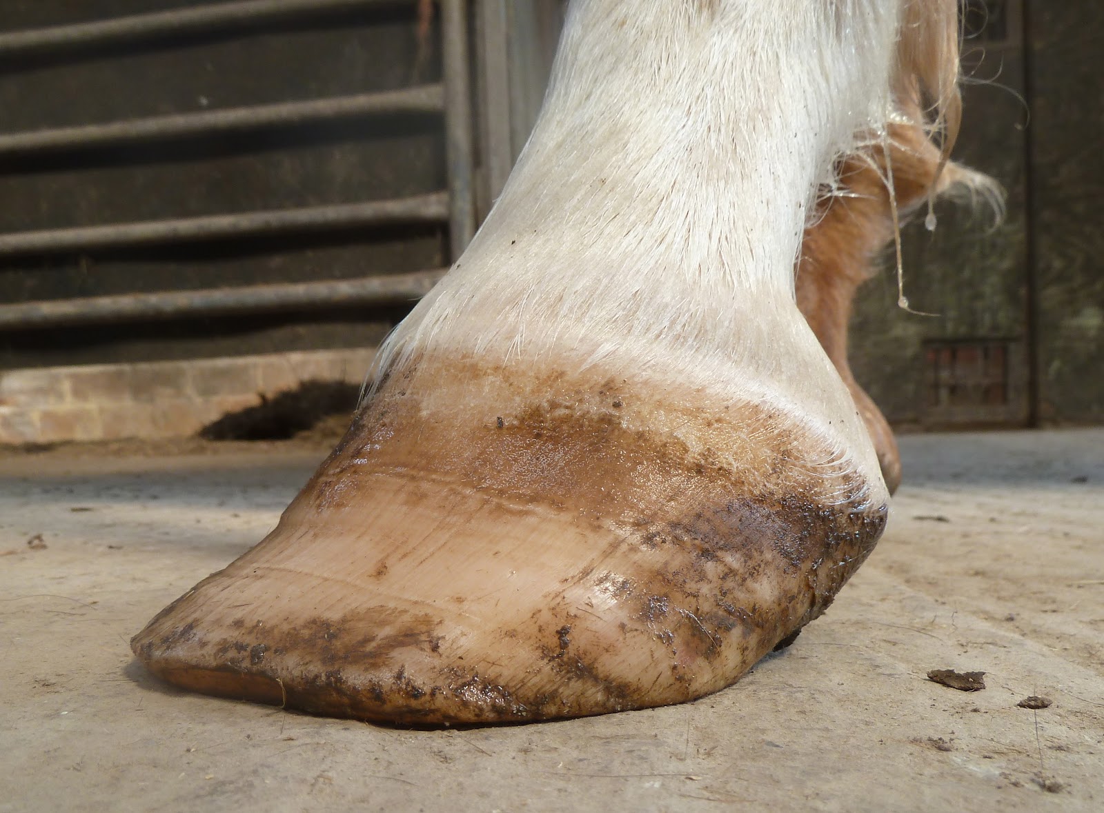 Rockley Farm: FAQs, flares and froth