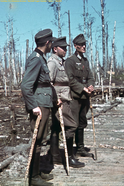 World War II in Color: German Officers Holding Wolchowstock