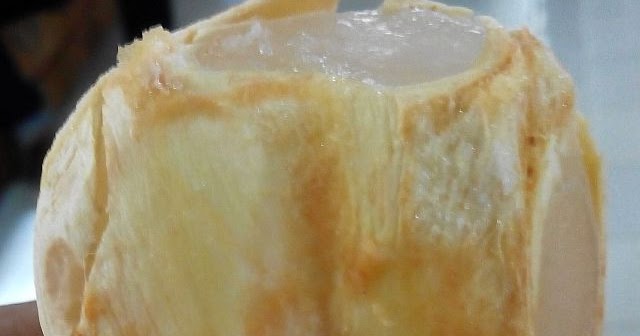 Buah Siwalan Diolah Jadi Apa Ya?