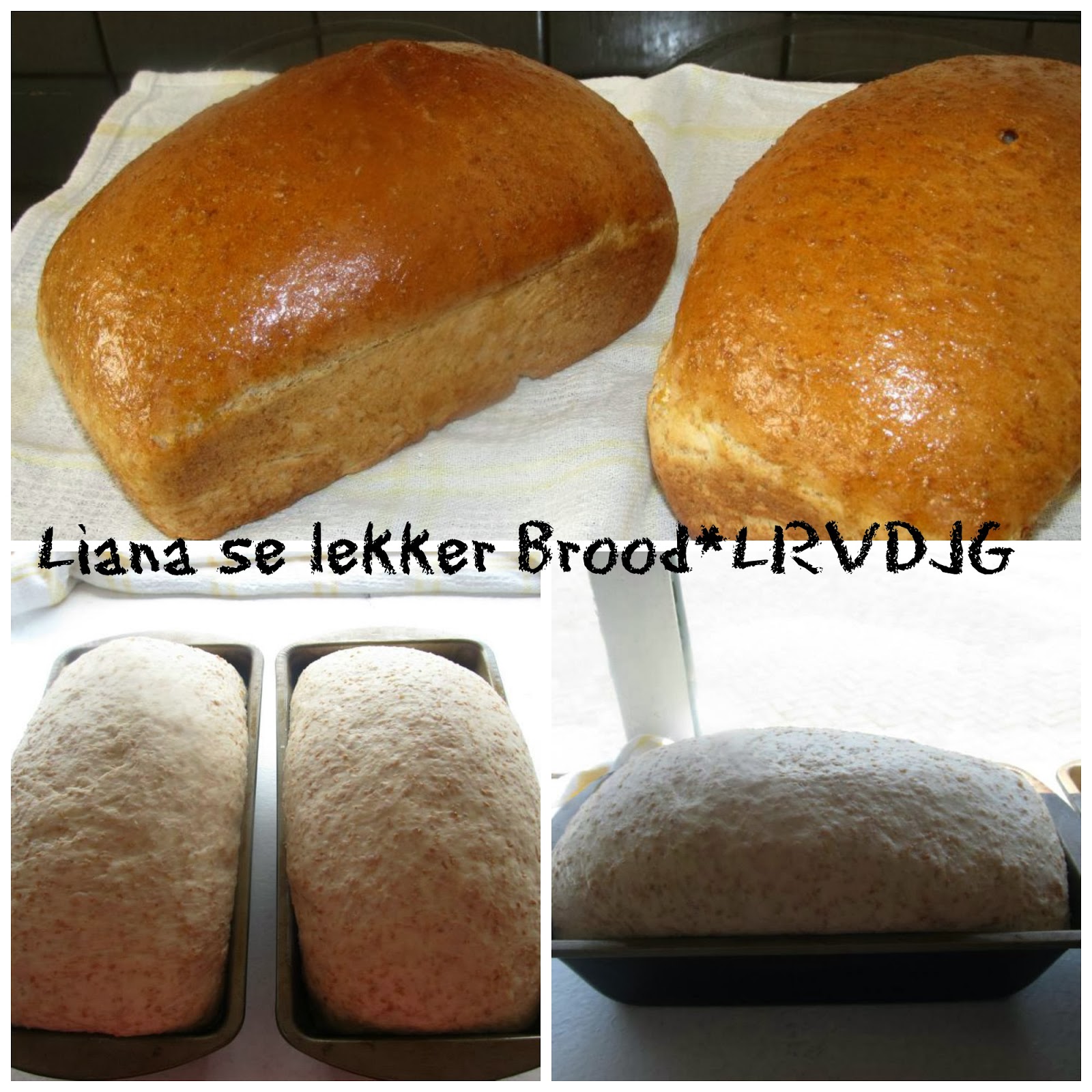 LEKKER RESEPTE VIR DIE JONGERGESLAG: LIANA SE LEKKER BROOD