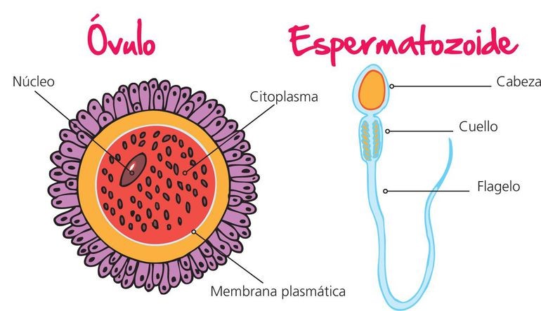 Ciencias naturales y Biología AISL : 9no Ciencias naturales