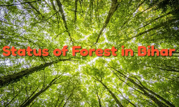 Status of Forest in Bihar - CSE Junction