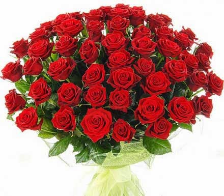 მზია შველიძე (ბიოლოგია): ვარდები