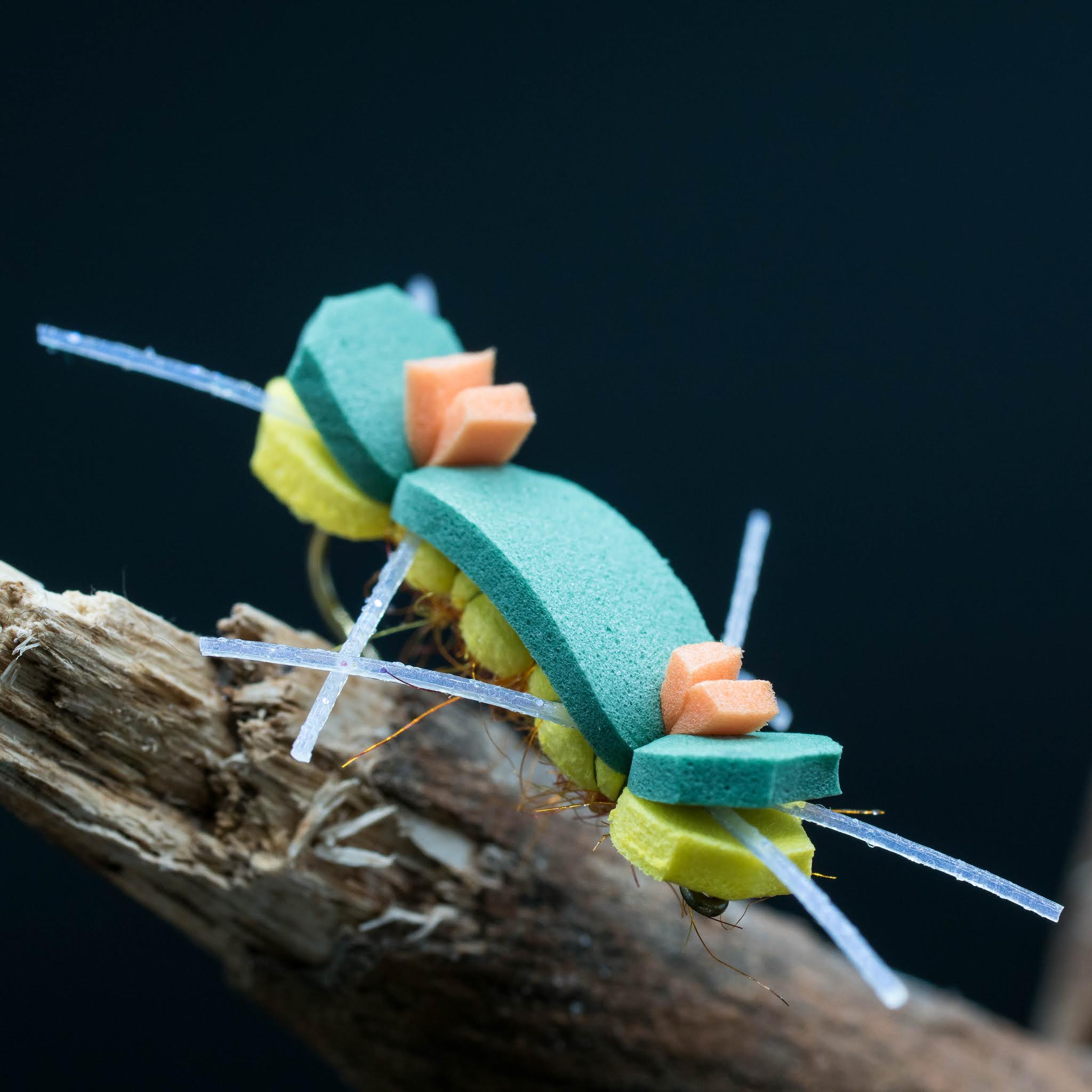 50 På Fluga: Feature Fly of the Month: August - Bugs, Insects and ...