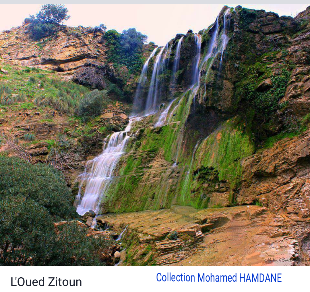 CULTURE et PATRIMOINE DE TUNISIE EN IMAGES- MOHAMED HAMDANE-ثقافة وتراث ...