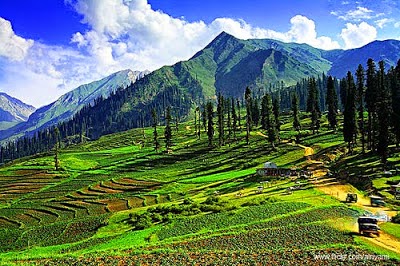 List of most beautiful national parks of Pakistan - Trango Tours