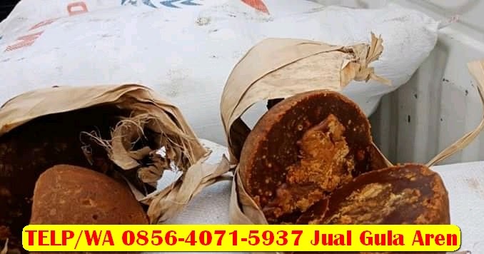 WA 0856 4071 5937 Supplier Gula Jawa Malang