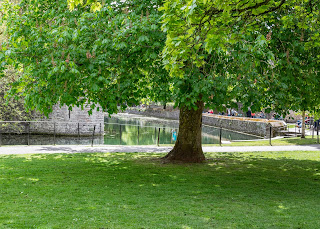 Wigtwizzle - Norman Smith's Travel Blog.: Harrop Tarn and Thirlmere