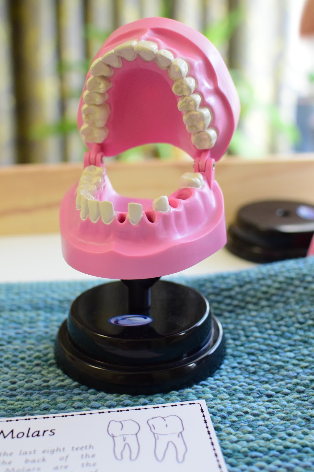 Introducing Dental Health to Kids | The Pinay Homeschooler