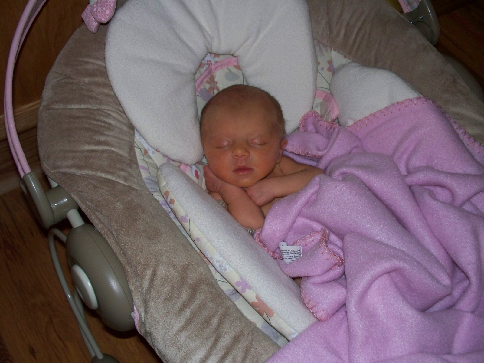 Flack Family of Five: Parents of Preemies Day