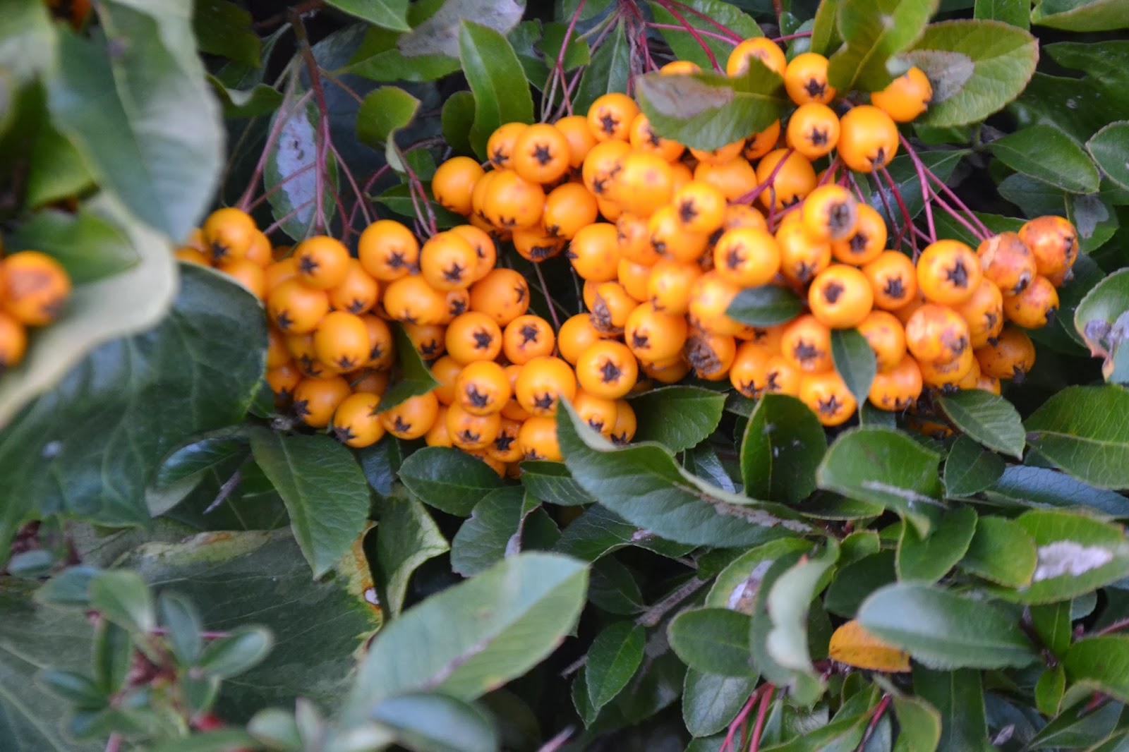 Unit 78: Digital Graphics for Computer Games