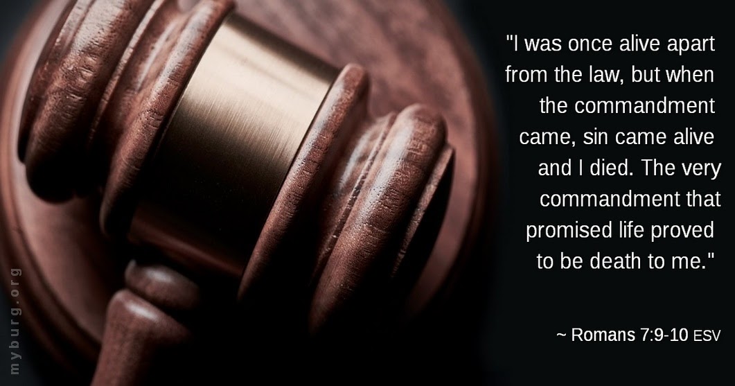 bible reading aug 17