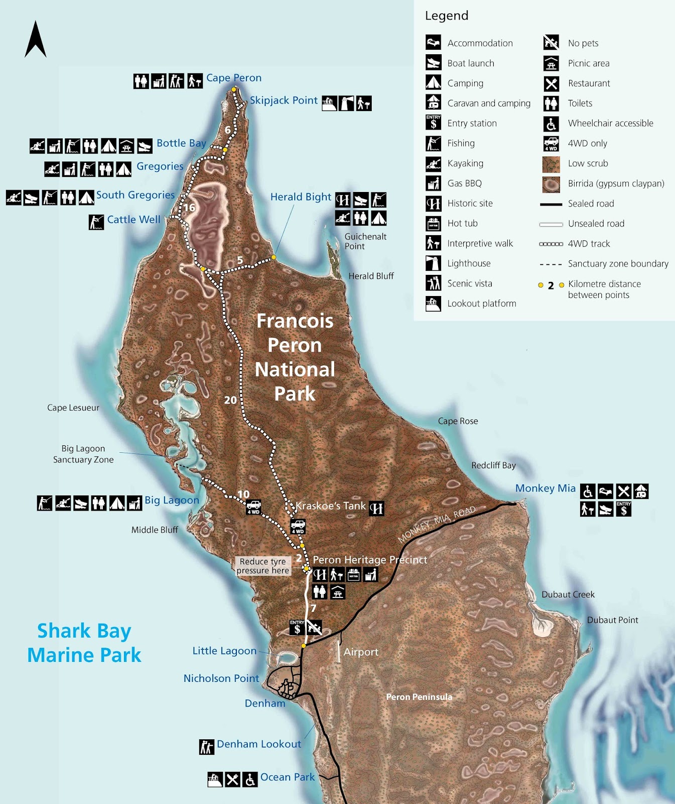 The semigrey nomad.: Walking with sharks: Day 2.