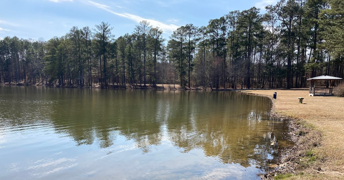 Fishing Through Life: My Second Home Lake