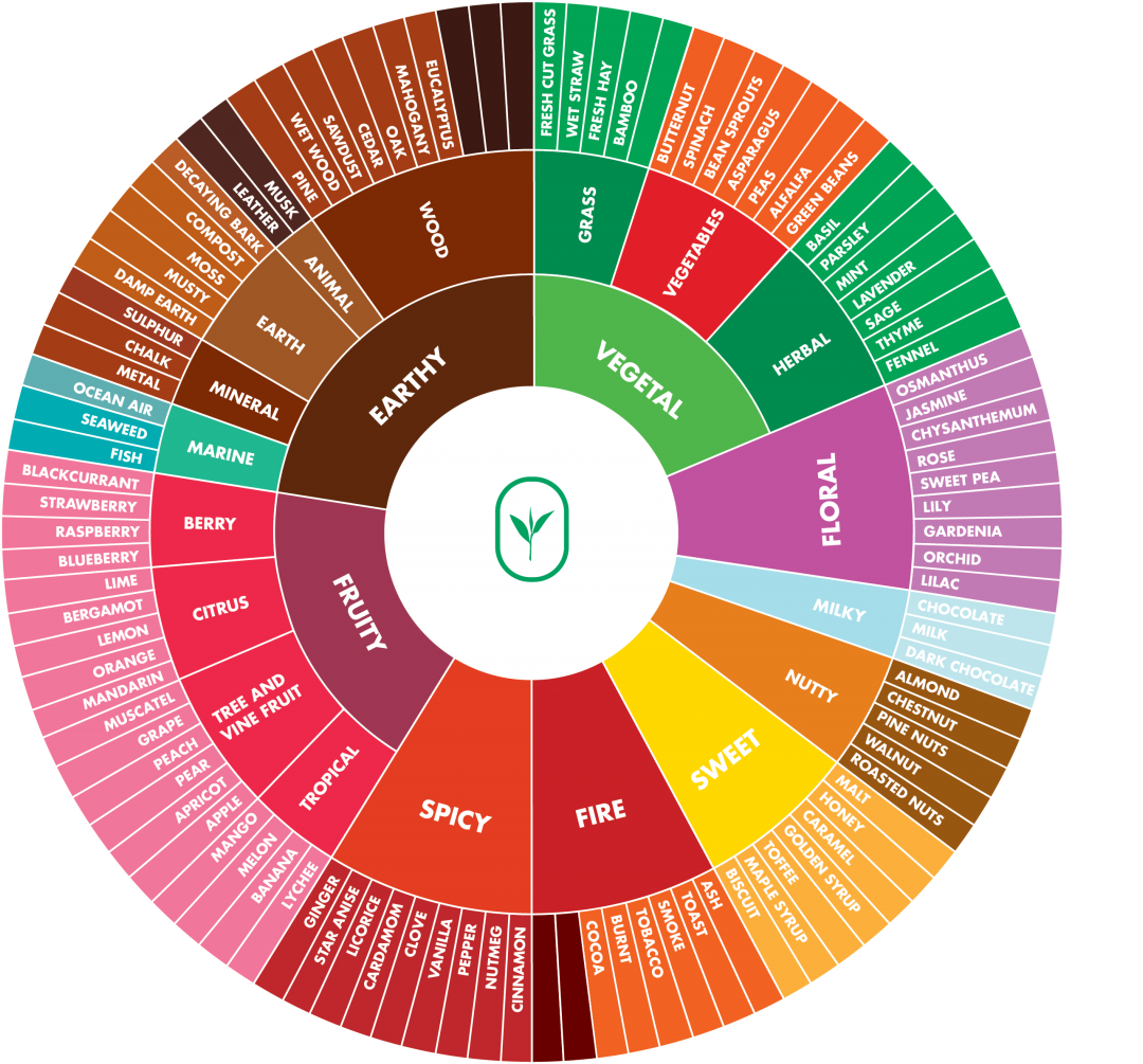 Tea in the ancient world: Tea flavor / aroma wheels reconsidered (with ...