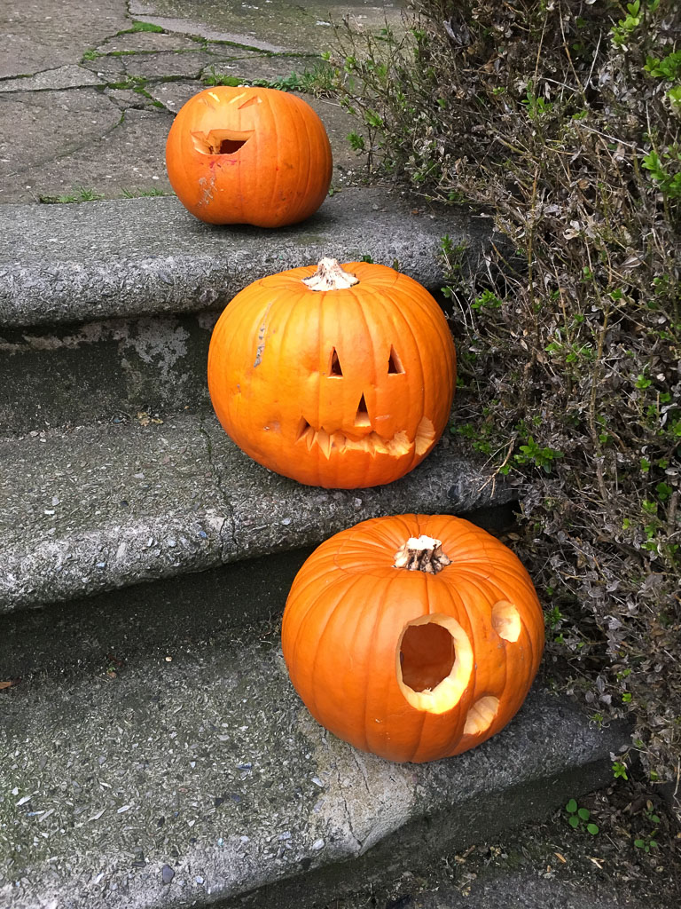 Shadows & Light: Halloween Hijinks