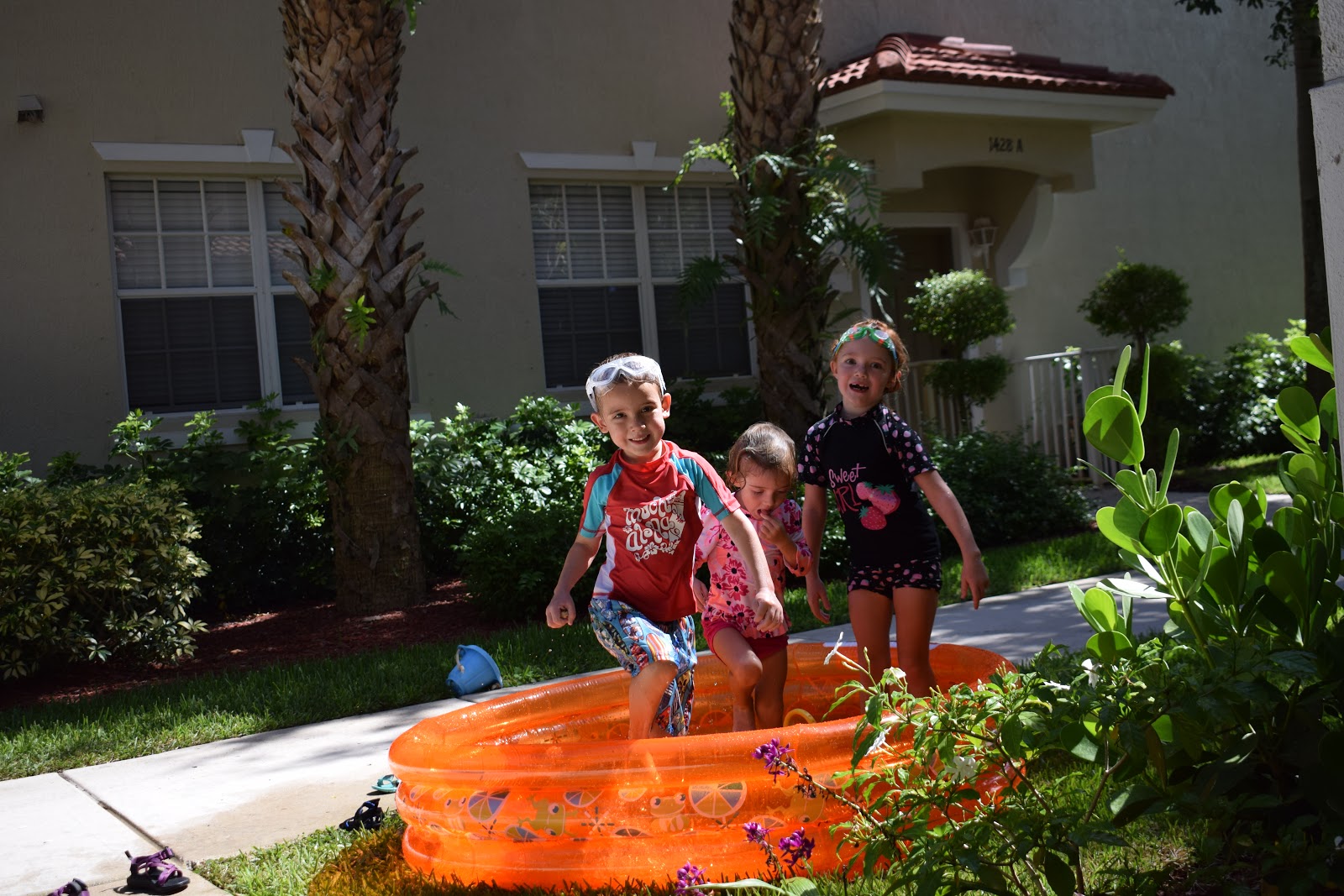Haws Household: Kiddie Pool + Potty Training