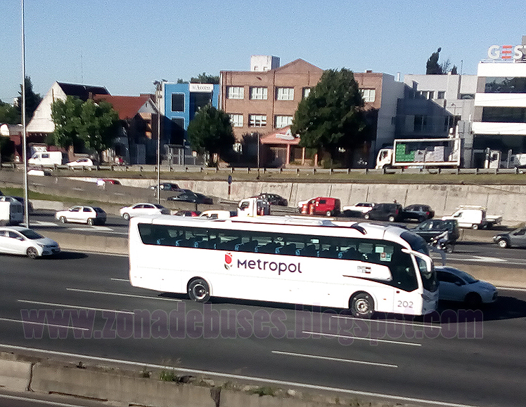 Colectibus - Zona de Buses: LINEA 194