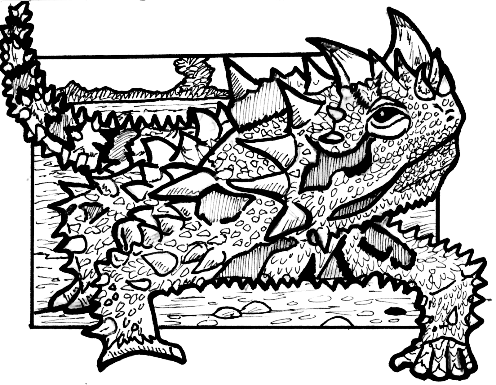 ZooTrophy Animal-a-Day Database: December 2015