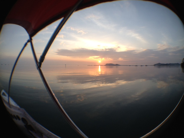 Red Sea Ocean Adventures: Boat Fish or Dive
