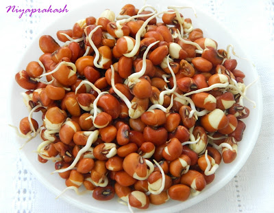 Niya's World: Sprouted Chawli / Red beans / Kilirpicha Vanpayaru