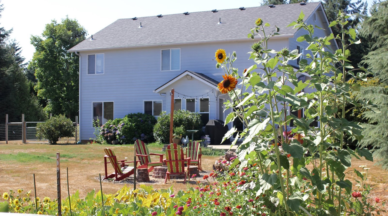 The Hot Flash Homestead: Which is worse: Luan doors or having no flour ...