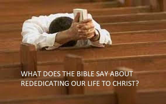 HOLD HIGH THE WORD: DON'T REDEDICATE YOUR LIFE TO CHRIST!