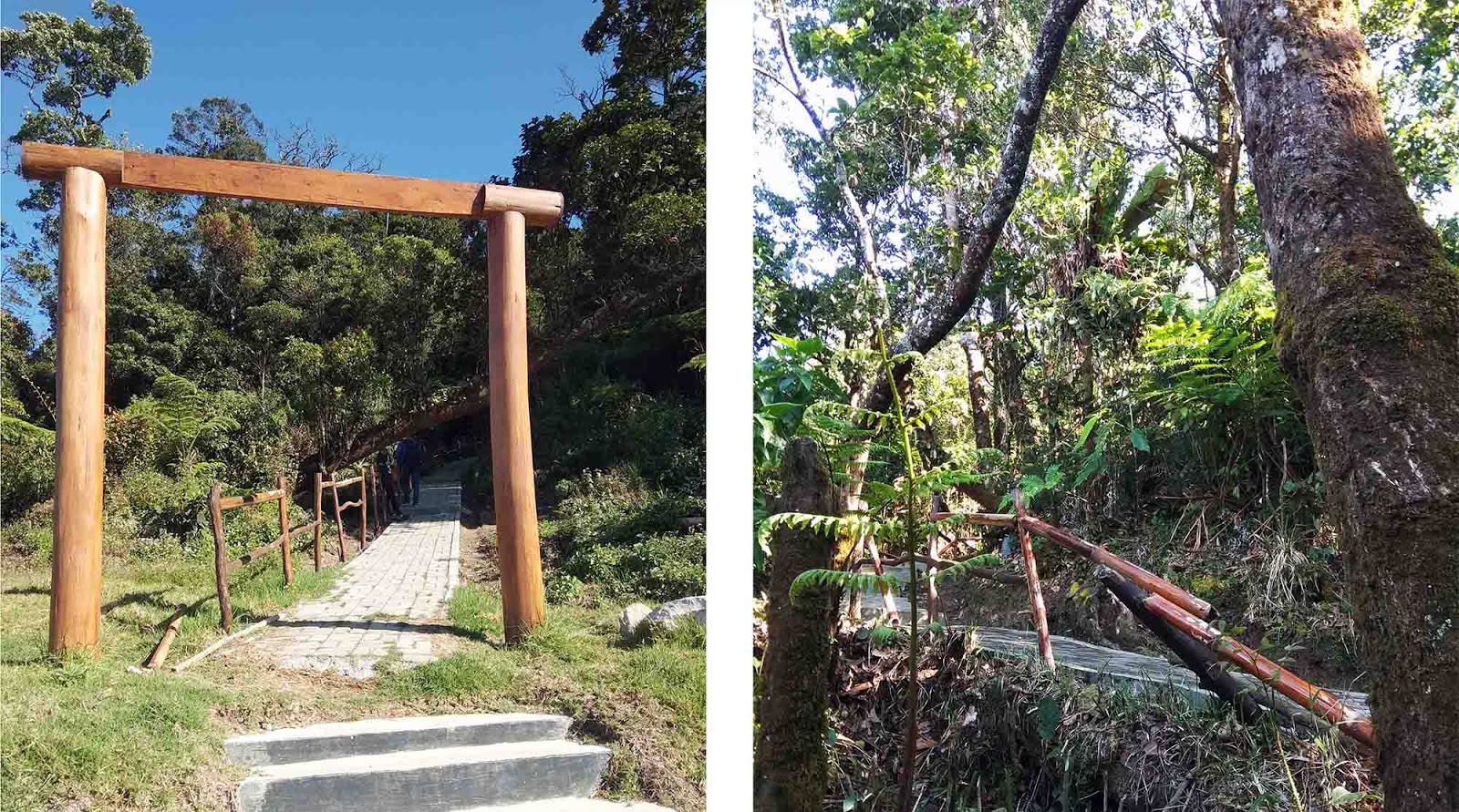 Sunan Ibu Sunrise Spot Ciwidey, Info Harga Tiket Masuk, Alamat Rute Jalan