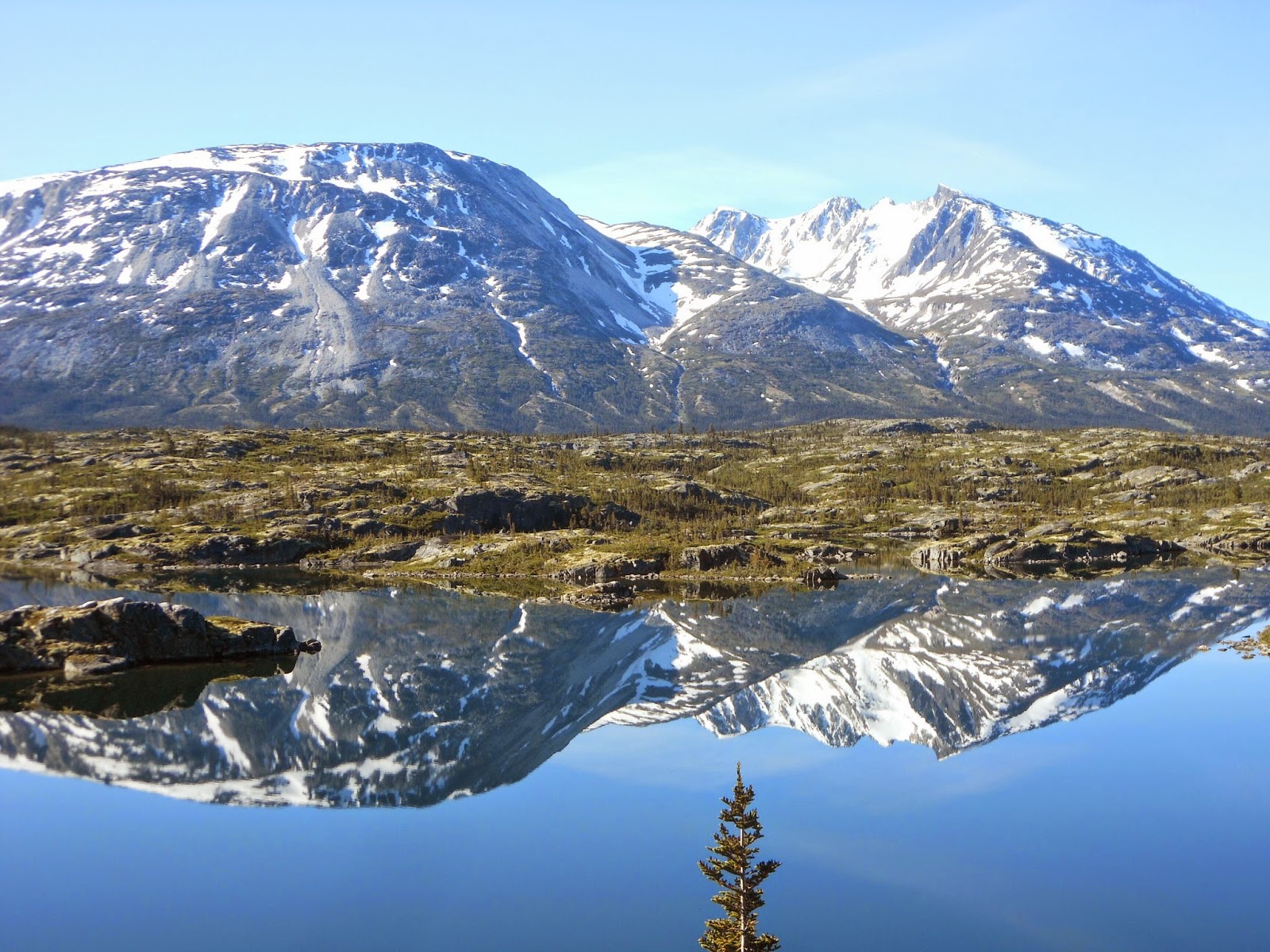 Arizona To Alaska 2014