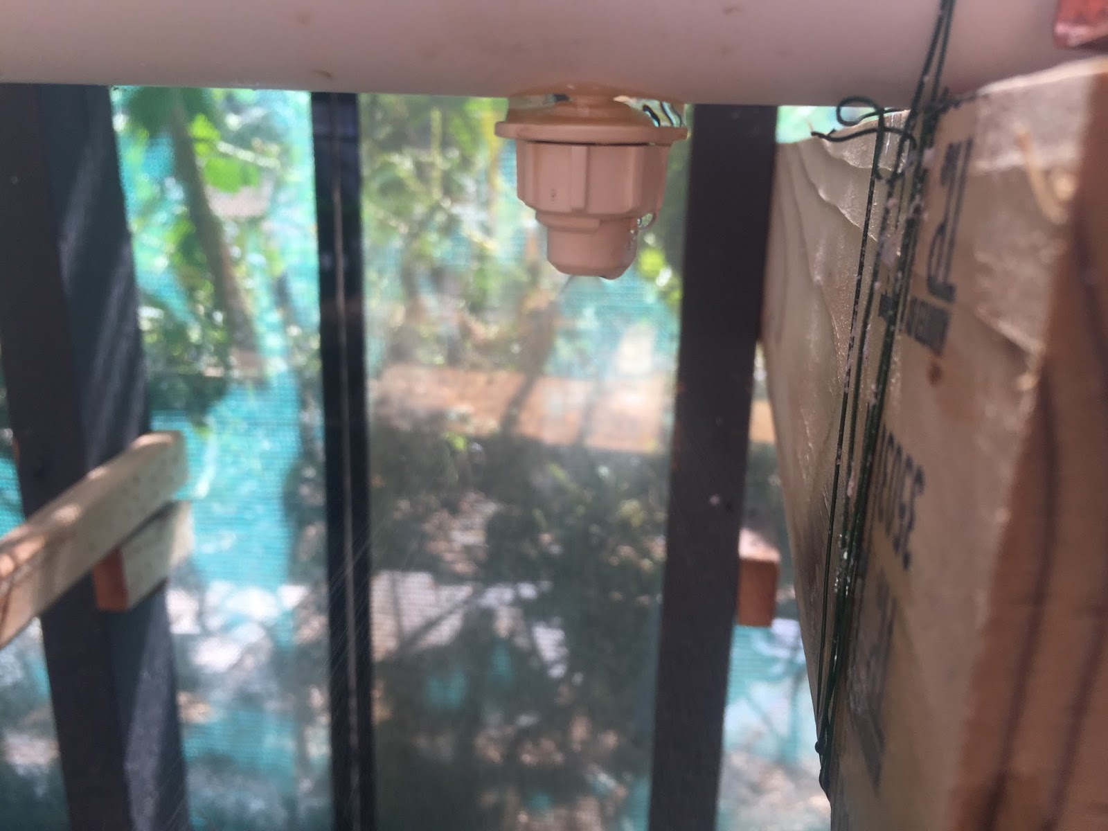 adventures with a tubie: DIY Plant Propagation Misting System using an ...