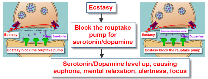 IB Biology/Chemistry: June 2011