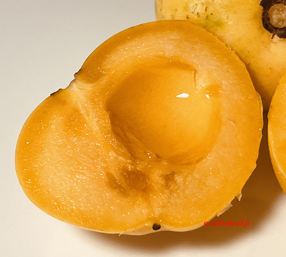 manta blog: Happiness Tree