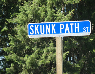 simple joys: cow paths and skunk paths