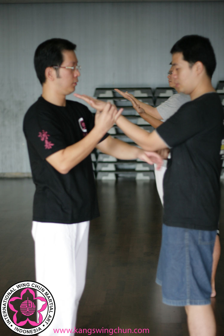 International Wing Chun Martial Art - Indonesia