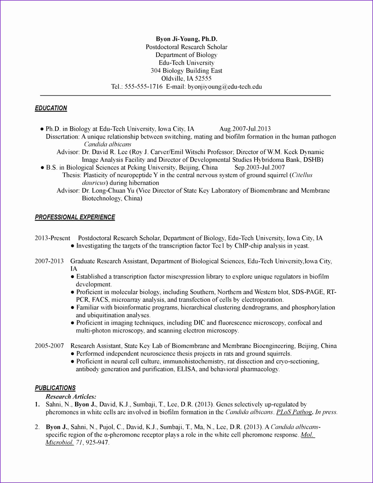 Academic resume sample 2019 Academic Cv Samples 2020