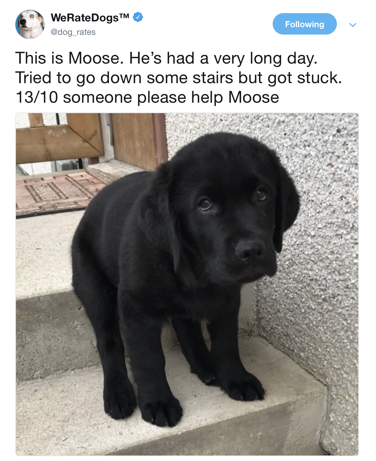 54 Random Memes Photos That Make You So Hilarious | 9GIG