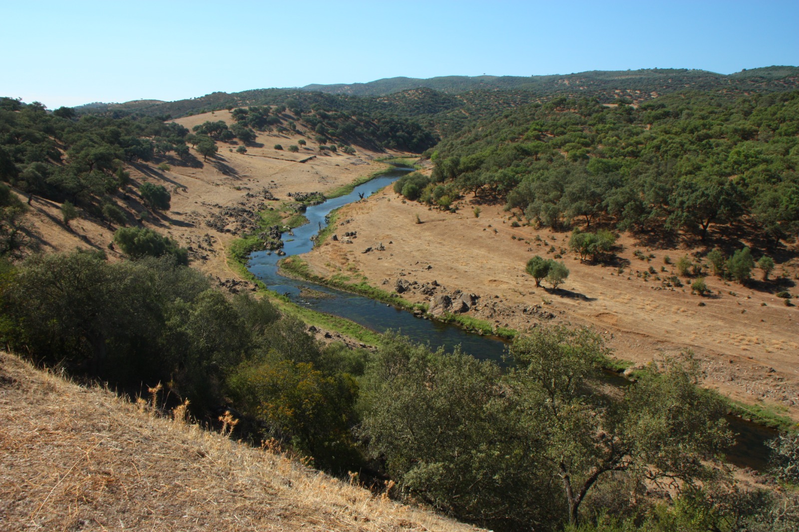 OLALLAREAL: CUATRO PERRAS PARA LOS PUEBLOS DE LA SIERRA