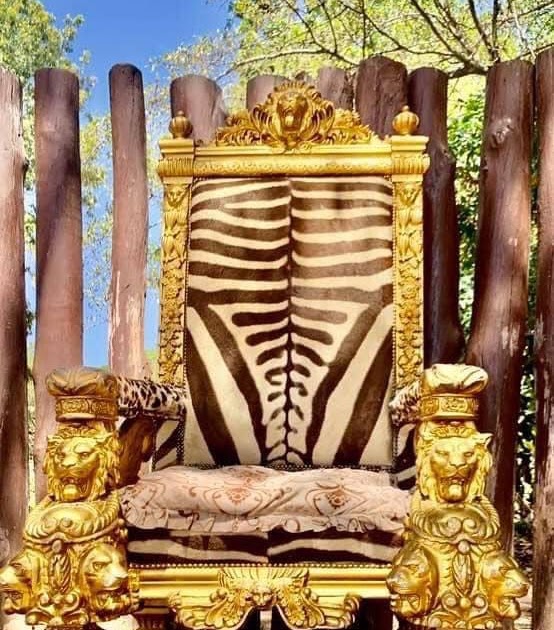 SOBRE O REINO DO BAILUNDO ONDE ACHO QUE TUDO ENTORTOU- ADRIANO SAPIÑALA