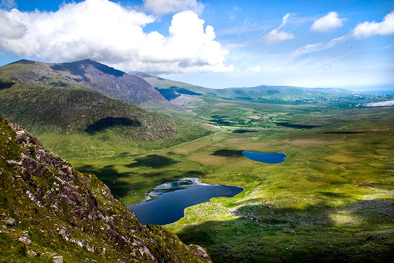 Rugged Ireland - WILD GREENS & SARDINES