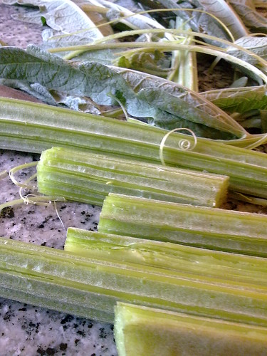 Behind the French Menu: The Cardoon or Cadone, in French the Cardon, a ...