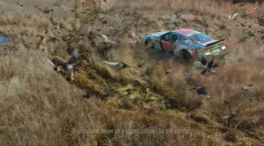 The Birdist: Birds at Large: Commercials - August 2014